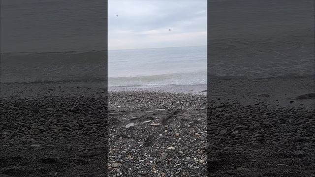 Сочи 13.01.2025
