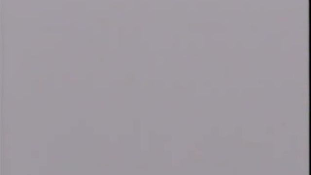 12 Социализация