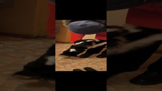 Гости пришли