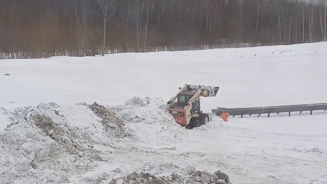 Баг ИРЛ