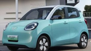 Mini EV (3)