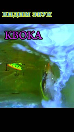 Видим звук Квока!