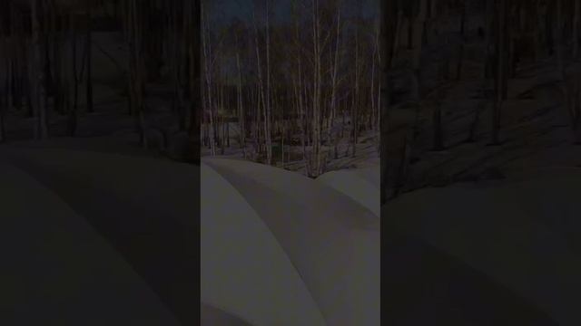 Всесезонные шатры от GRAND TENT