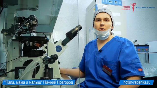 Эмбриология "Папа, мама и малыш"