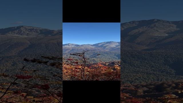Восхитительная природа Кавказа. Горы в Сочи