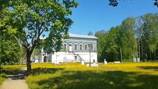 2020.06.06 - Вологда, вороны около усадьбы
