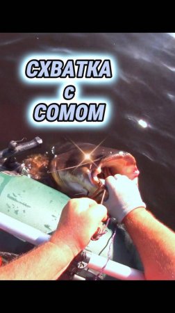 #shorts Схватка с монстром.
