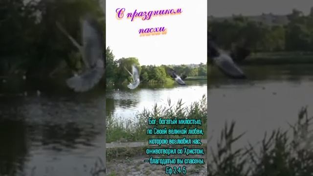 Христос воскрес