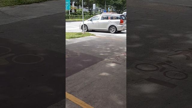 Toyota Wish MPV on road #toyota