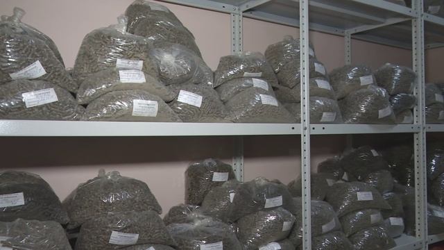 ЗЕРНО | Детям о сельском хозяйстве | Свекла | Подсолнух