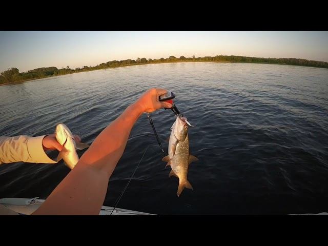 Ловля жереха. 07.2020