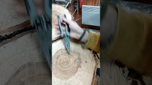Сюрприз внутри пня