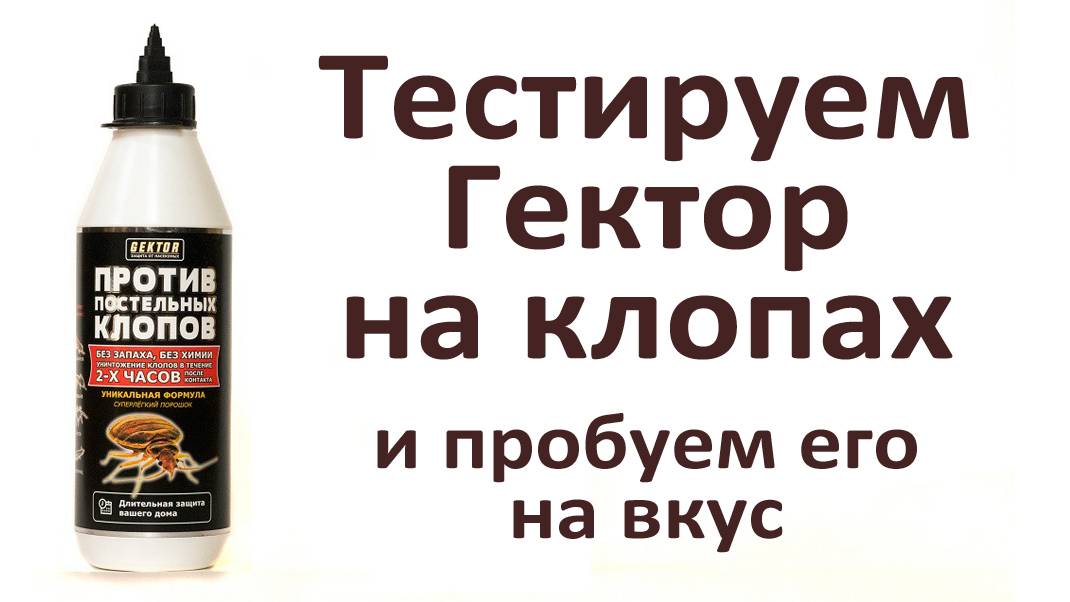 Испытываем Гектор против клопов - самое безопасное для людей средство