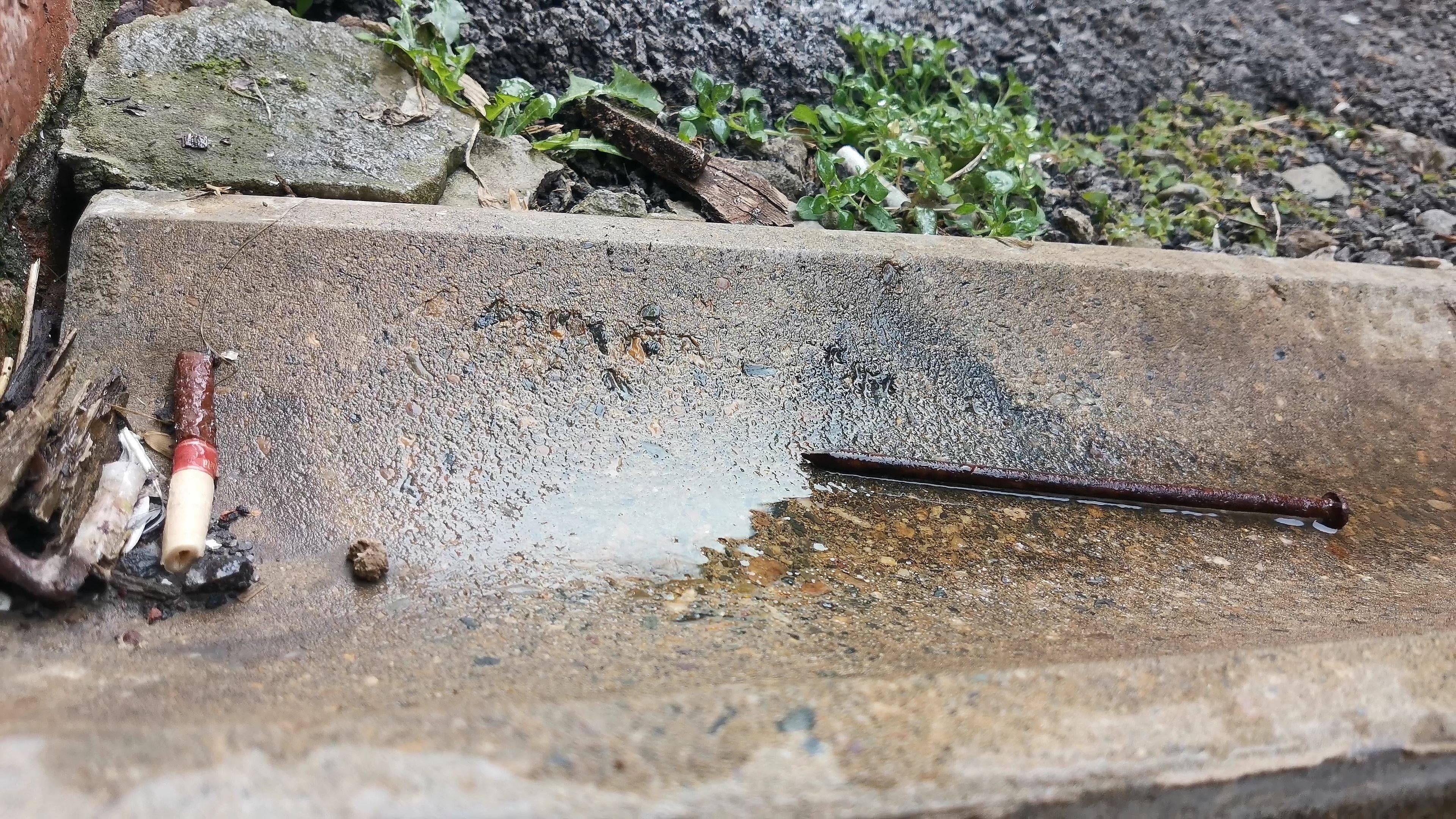 Погода 2025-01-14 Первый день зимы и снова оттепель