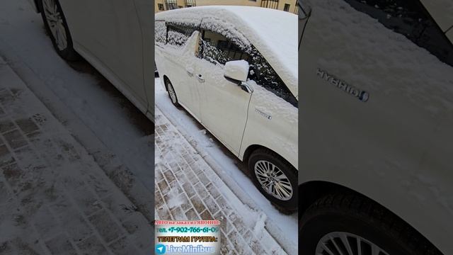 Таймер дверей TOYOTA ALPHARD HYBRID 30 кузов рестайлинг