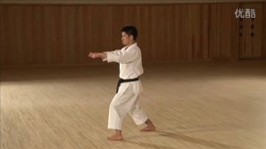 Высшие Ката JKS  Часть 2