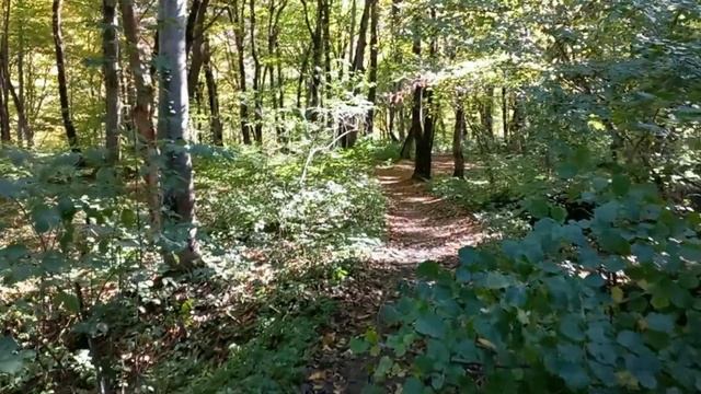 Хаджохская теснина и водопады Руфабго, Адыгея