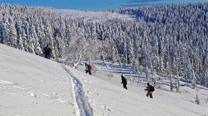 На лыжах к отрогам Черногорья. 11.01.2025