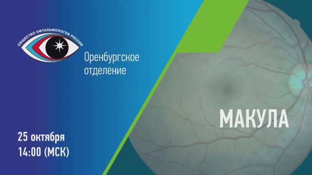 Заседание Оренбургского регионального отделения ООР. Макула