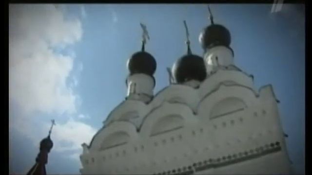 ромашковые поля