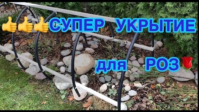 ☃️👍СУПЕР УКРЫТИЕ для РОЗ🌹🌹🌹 посадка КРОКУСОВ на газон🌸 продолжение осенней уборки сада 🧹