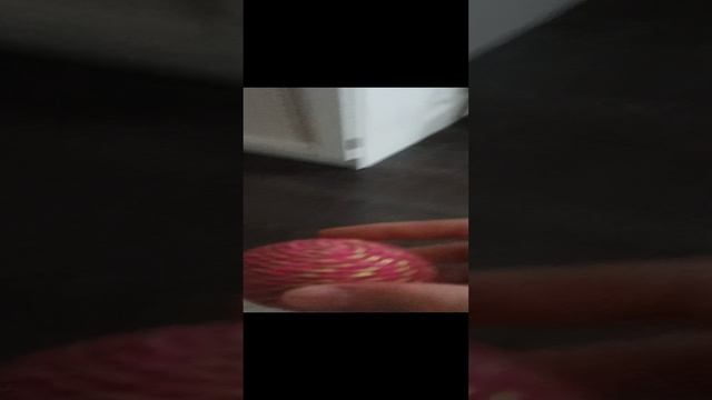 бег собаки