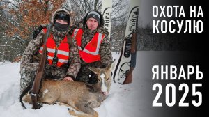 ❄️ 🦌 Охота на косулю в метель!