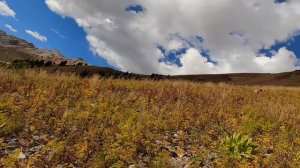 Zamberlan Mastodon GTX hunting boot review