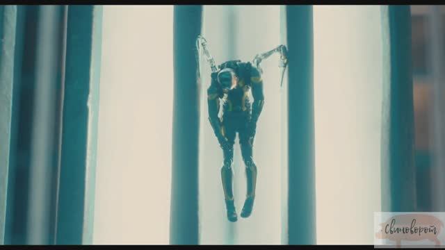 Издержки мирмекологии (Outgoings Of Myrmecology)