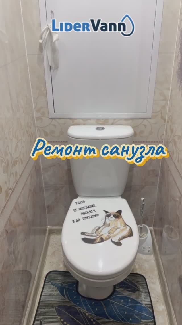 Ремонт санузла
