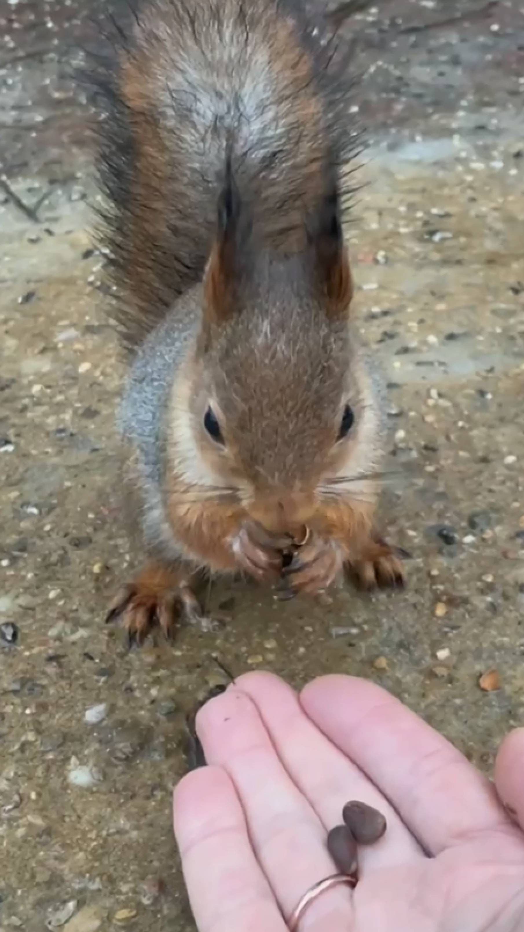 Здоровый румянец Обеспечен!