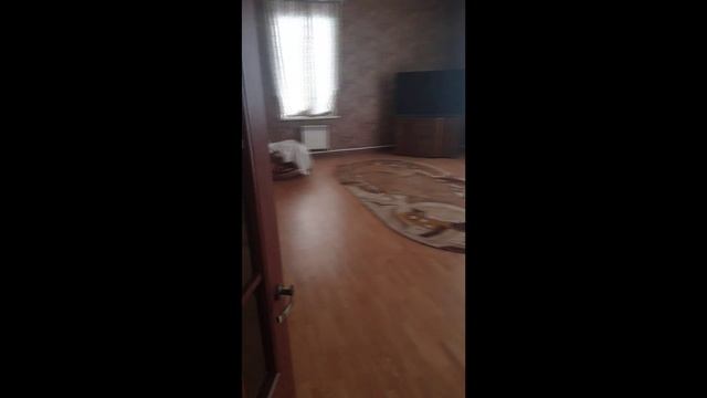 Первый заход в дом