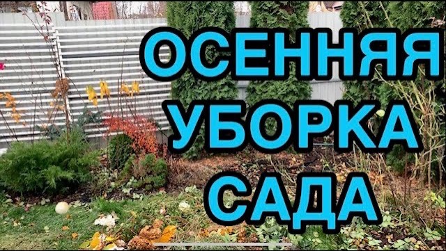 🍁Осенняя уборка сада 🐝Обрезка гортензии I Психанула и купила 2 тонны гальки