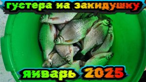 Бешенная густера. Зимние караси гнут фидер. Зимняя рыбалка на ГУСТЕРУ. Январь Астрахань 2025)