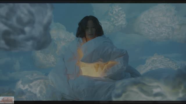 Смаредь (Tolook)