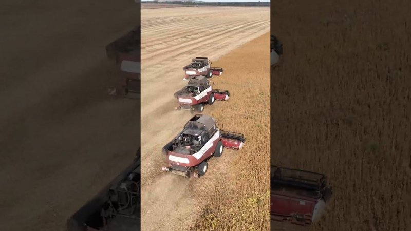 Уборка в удовольствие - автопилот  VECTOR #сельскоехозяйство #комбайны  #акрос #ростсельмаш