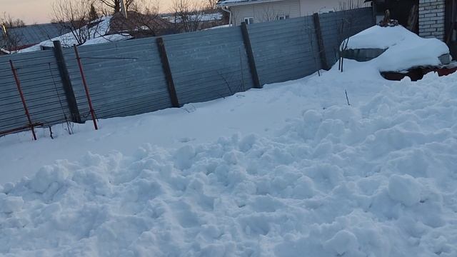 Март 2024. Весна, мороз и снег. "Снежный плен" продолжается. Весь снег убрать не реально. 10032024.