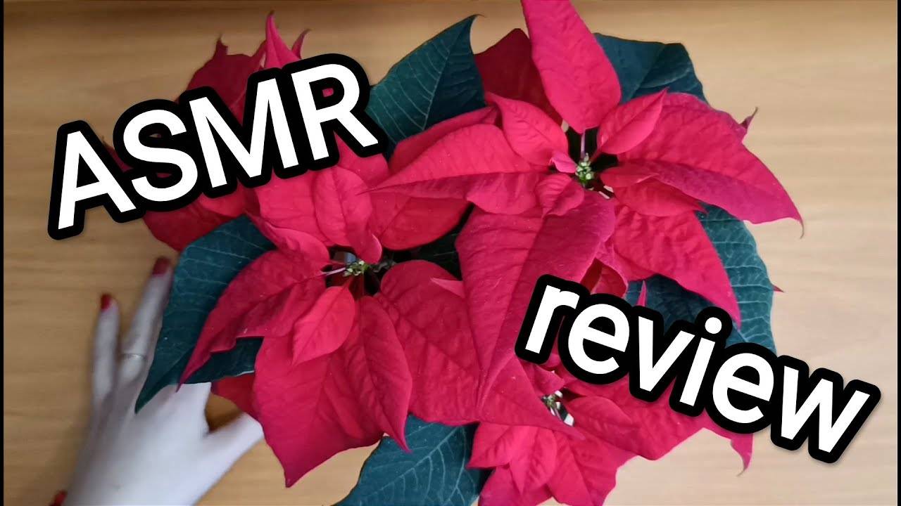 ASMR REVIEW / АСМР ОБЗОР / WHISPER / ШЕПОТ / RELAXING