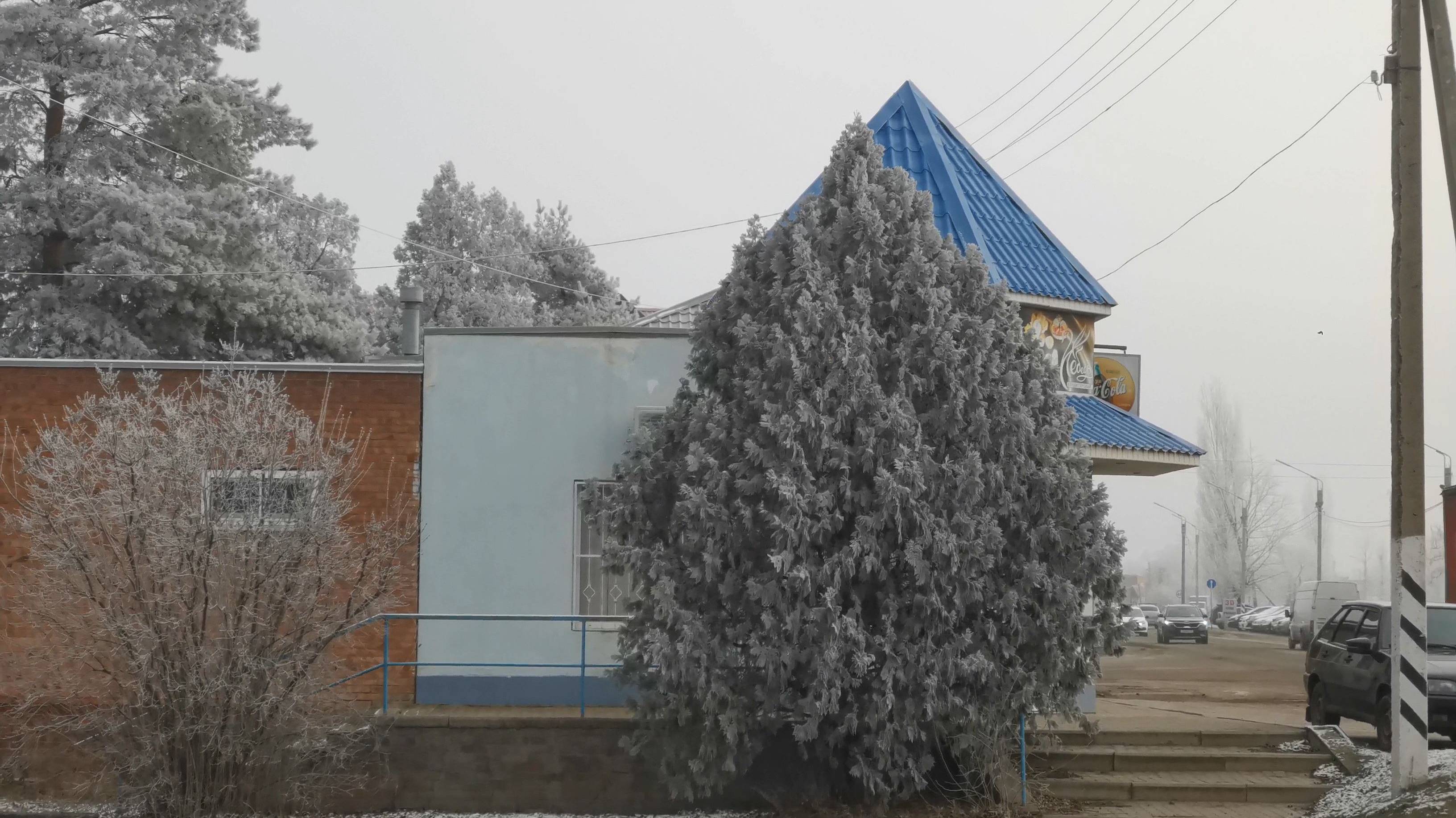 Погода 2025-01-16 Зима продолжается, но уже надоело