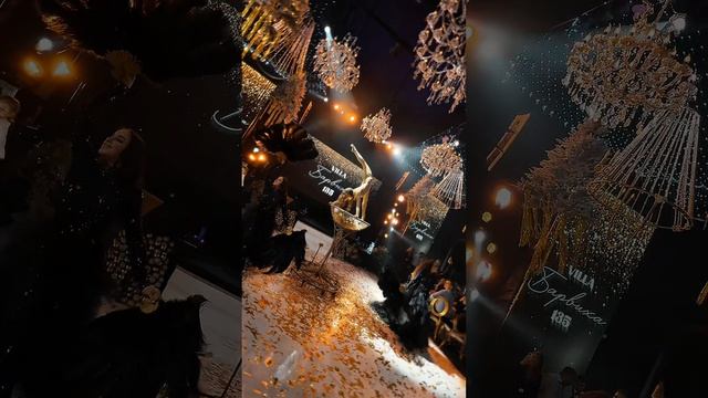 Новогодняя ночь в Вилле Барвихе 135 🌟