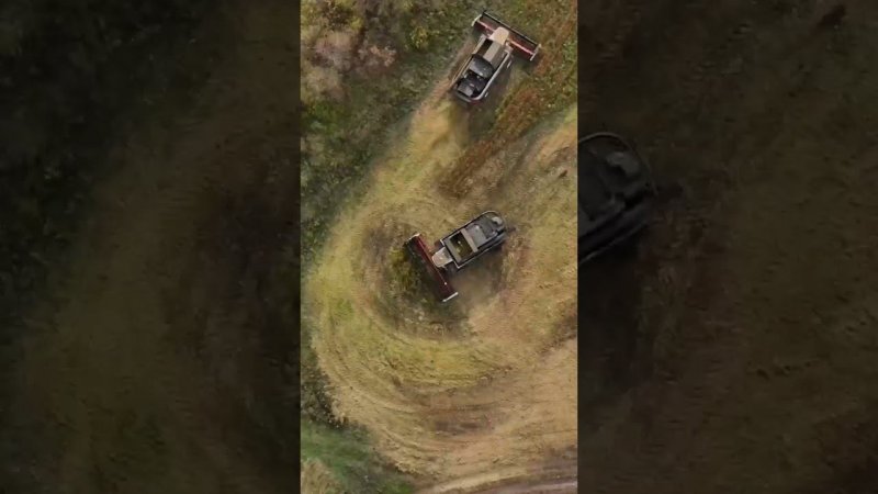 У нас своя версия нашумевшего сериала #vector #сельскоехозяйство #словопацана #аигел #комбайн