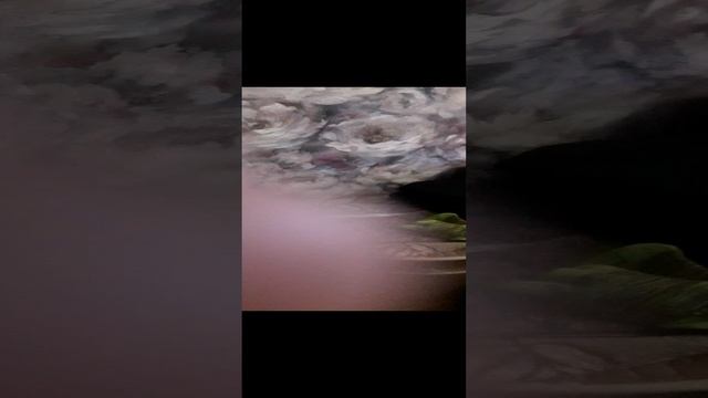 телепортация 7 серия ( от нас что-то скрывают ).mp4