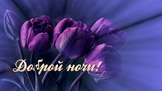 Футаж. Доброй ночи 6
