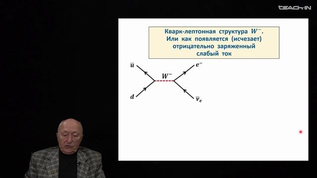Капитонов И.М. - Физика атомного ядра и частиц - 7. Слабое взаимодействие. Квантовая хромодинамика