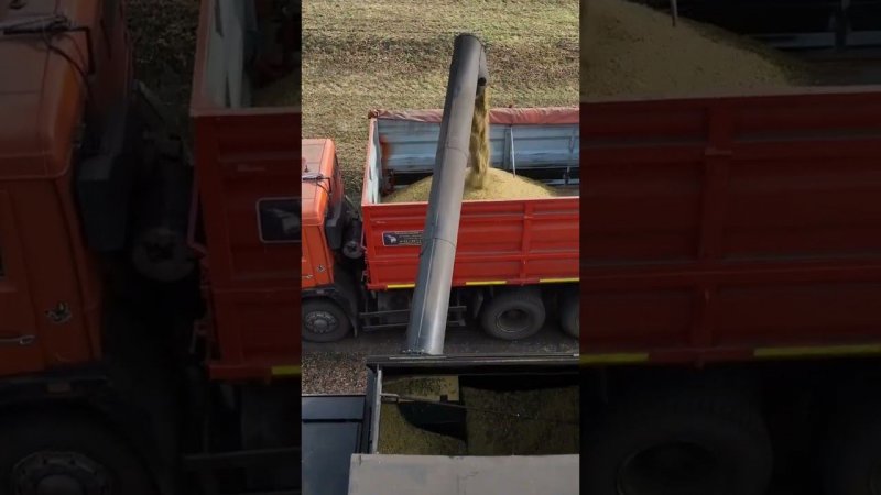 Знает каждый сантиметр земли. Автопилот VECTOR. #автопилотвектор #евротехникампс #автопилот #farmer