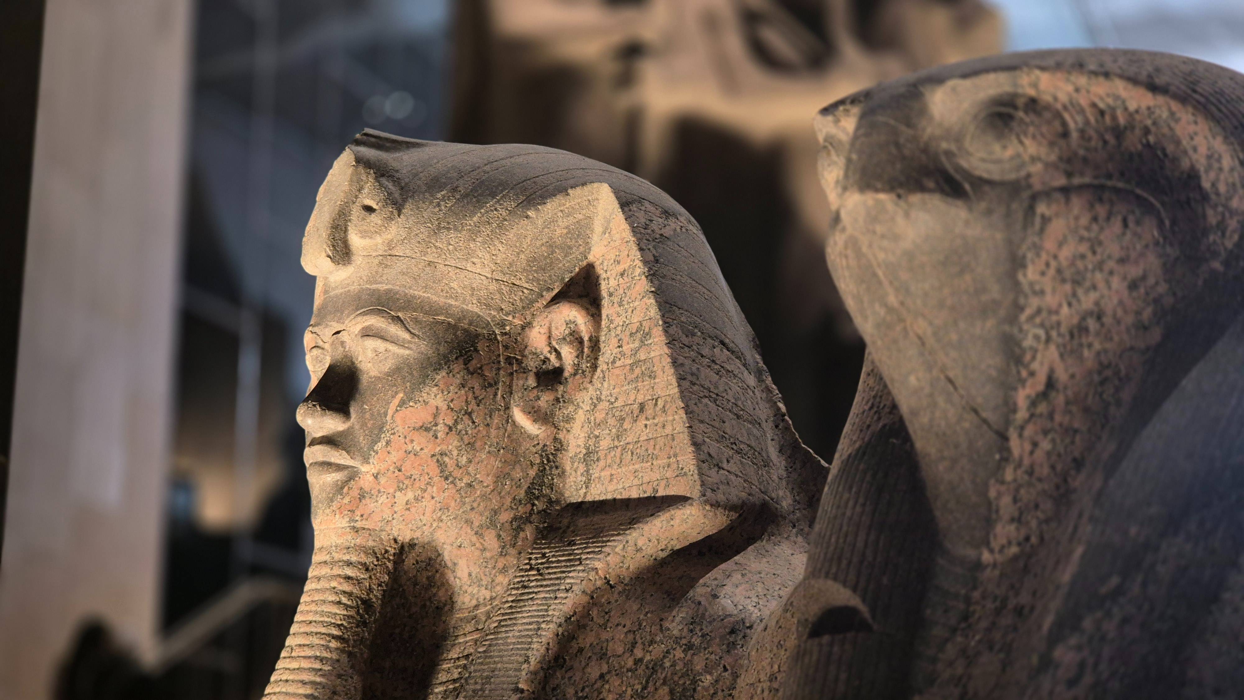 202501  Египет Каир Новый Большой Музей в Гизе