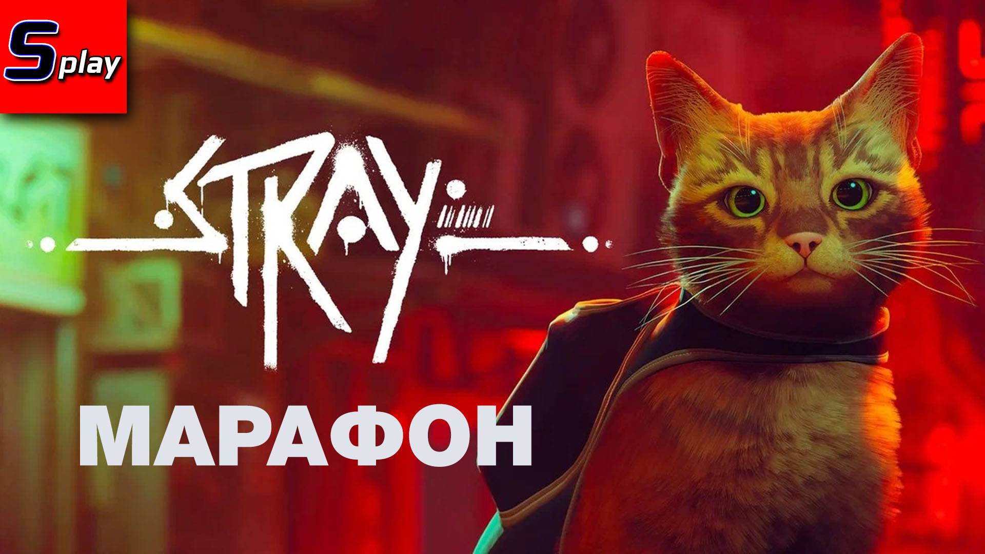 Марафон Stray (полуспидран)
