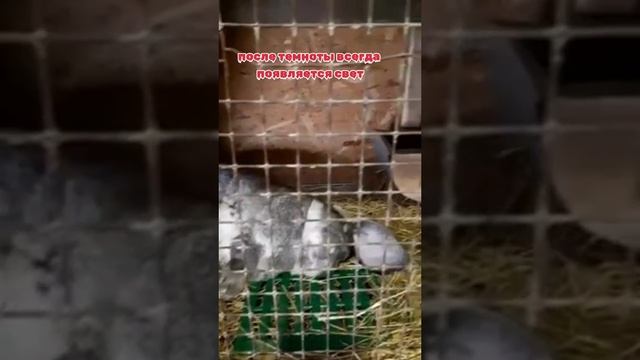 Всё в жизни временно