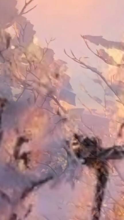 1 снег в 2025 году