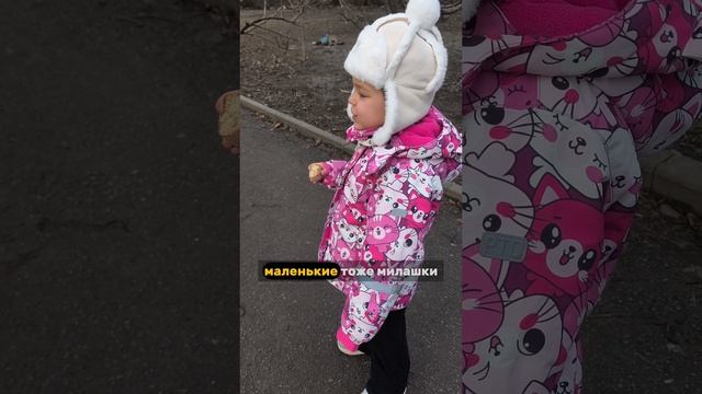 Трогательная встреча по дороге из садика🤗 #shorts #shortvideo #юмор #дети #шортс #приколы #милота